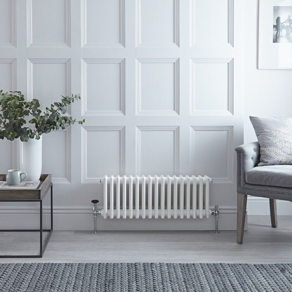 Regent - White Horizontal 2-Column Traditional Cast-Iron Style Radiator ...